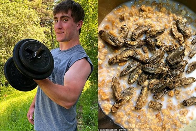 Berita Sam Broadbent Terbaru Hari Ini - Grid.ID