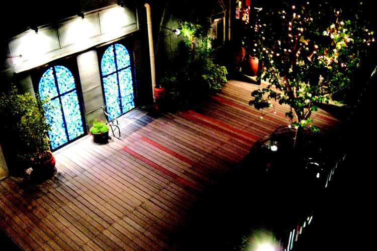 Inilah Tanaman yang Pas untuk Taman Atap, Kriteria dan Jenisnya!