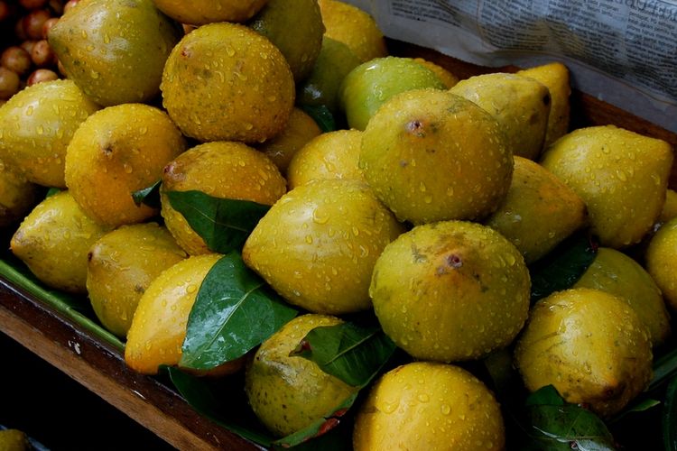 Berita Campoleh Terbaru Hari Ini - Bobo