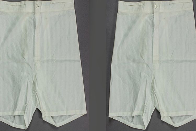 Berita Adolf Hitler Boxer Terbaru Hari Ini - Grid.ID