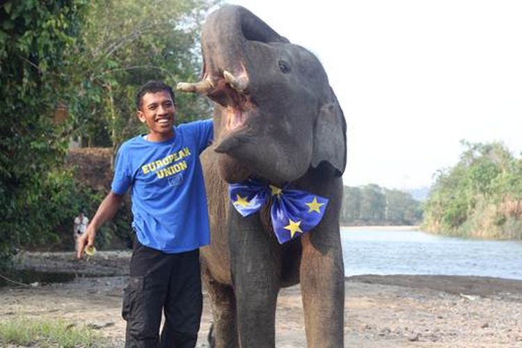 Berita Delegasi Uni Eropa Adopsi Anak Gajah Untuk Jadi Maskot ...