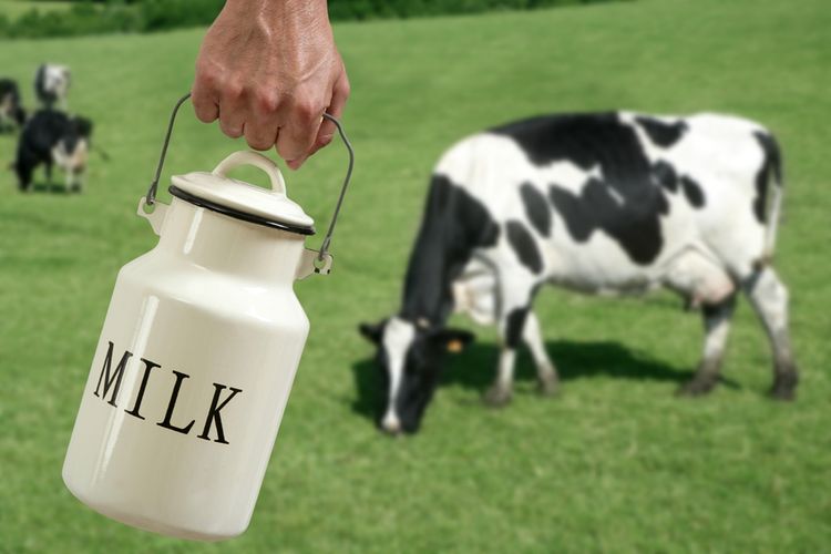 Berita Mitos Tentang Hormon Sapi Pada Susu Dan Pubertas Dini terbaru ...