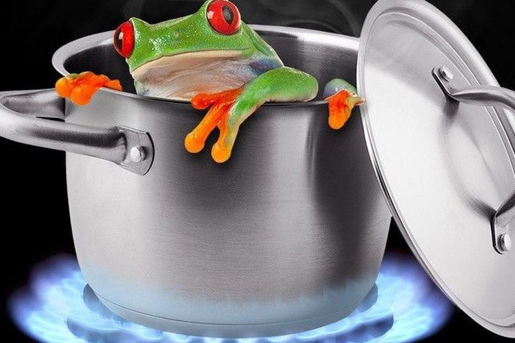 Kisah Katak di Dalam Air