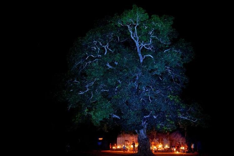 Berita Cahaya Api Terbaru Hari Ini - National Geographic