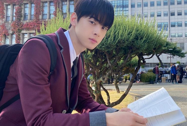 Potret Dan Fakta Menarik Cha Eun Woo Pemain Lee Suho Di Drama True