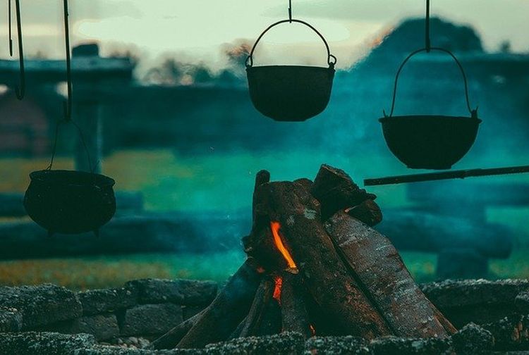 Abu dari Hasil Bakaran Kayu Memiliki Sejumlah Manfaat untuk Tanaman ...