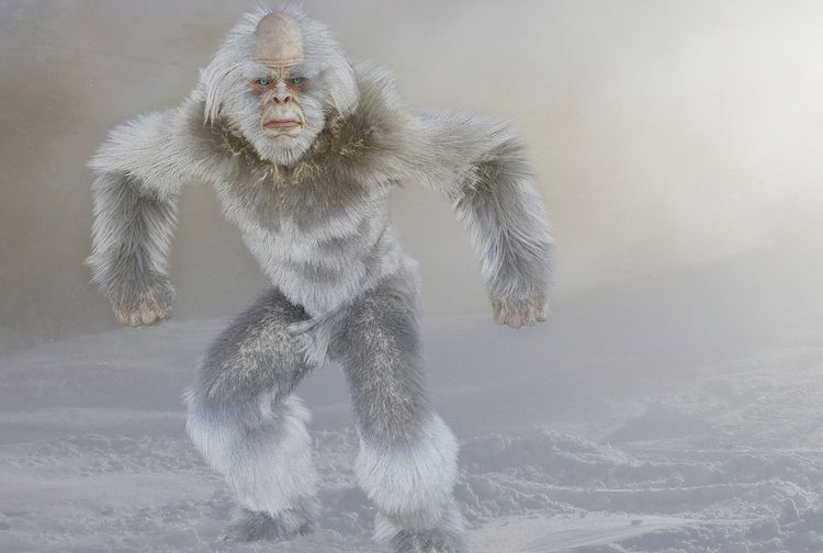 Masih Menjadi Misteri, Apakah Keberadaan Yeti yang Dianggap Makhluk ...