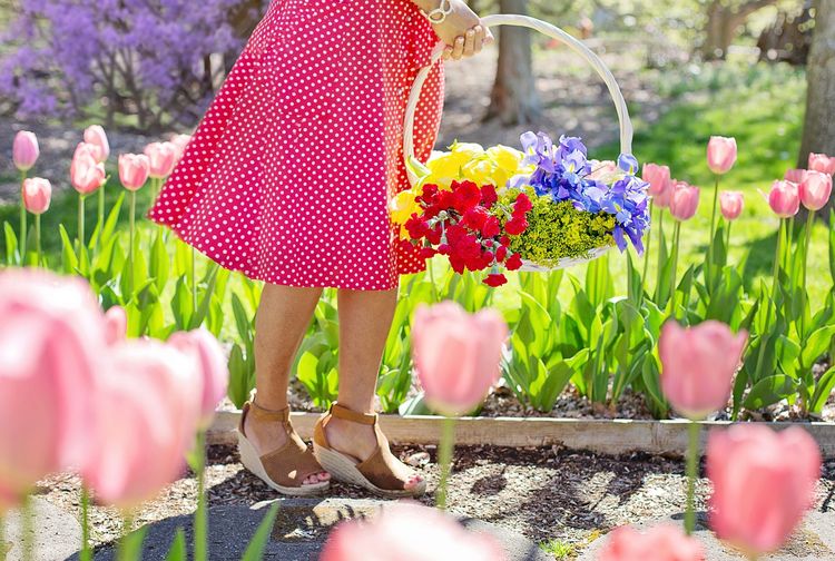 Cocok untuk Pemula, Ini 4 Jenis Bunga yang Tahan Banting dan Mudah ...