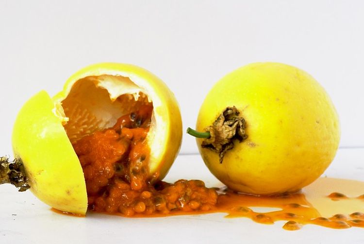 Mudah Ditemukan dan Banyak di Indonesia, Ini Manfaat Kesehatan Buah Markisa yang Perlu Diketahui ...