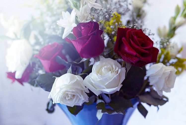 Rangkuman Jawaban Ciri Khas Bunga Mawar, Bentuk dan Warnanya, Kelas 3 ...