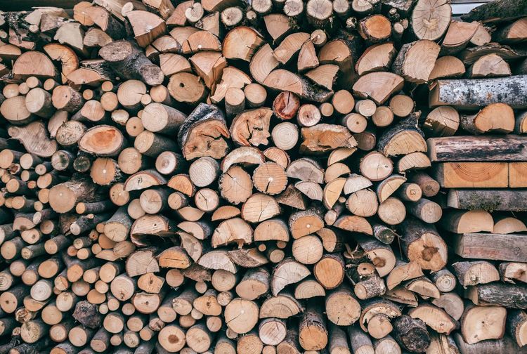 kegiatan ekonomi yang memanfaatkan kedua jenis sumber daya alam ...