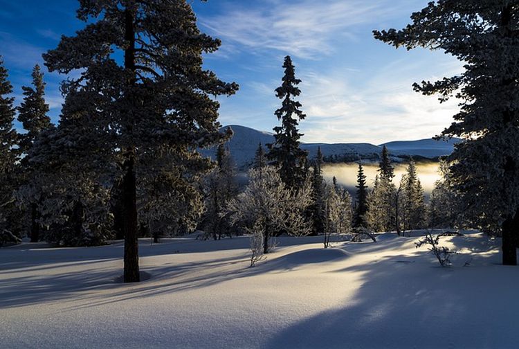 Mengenal 6 Jenis Iklim Berdasarkan Ciri Lingkungannya - Kids