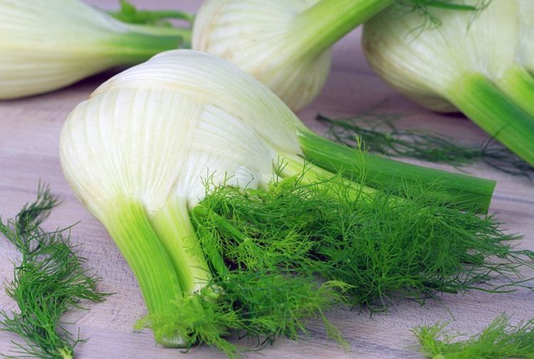 Digunakan Sejak Zaman Dahulu, Inilah Manfaat Tanaman Adas yang Belum ...