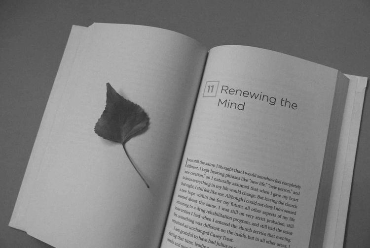 Mengenal 5 Jenis Karya Sastra Prosa Secara Umum, Bahasa Indonesia Kelas ...