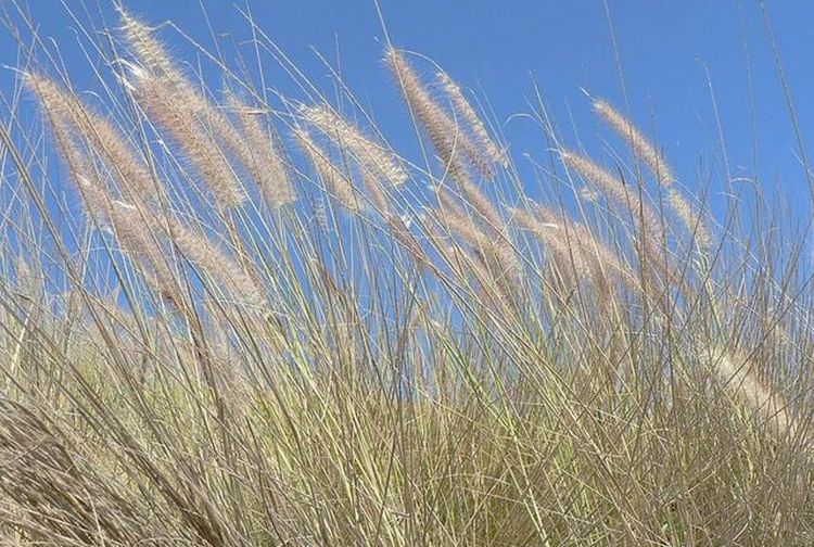 Mengenal 4 Unsur Pembentuk Udara dan Penjelasannya - Kids