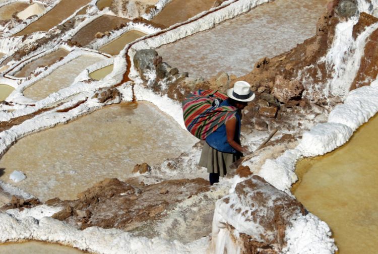 Bagaimana Cara Pembuatan Garam dari Air Laut? #AkuBacaAkuTahu - Kids
