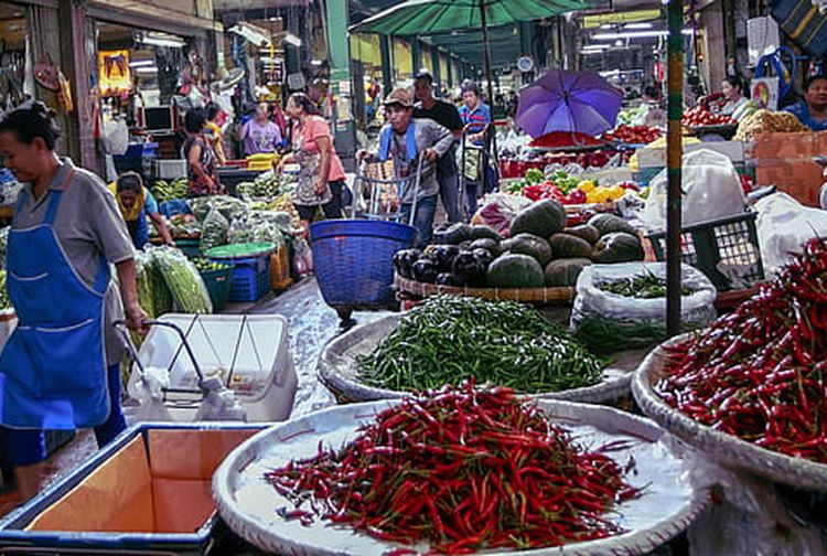 Pengertian, Ciri-Ciri, dan Contoh Jenis Pasar Persaingan Sempurna - Kids