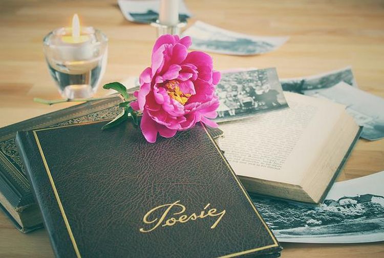 Mengenal 4 Unsur dan Jenis Puisi Kontemporer serta Penjelasannya - Kids