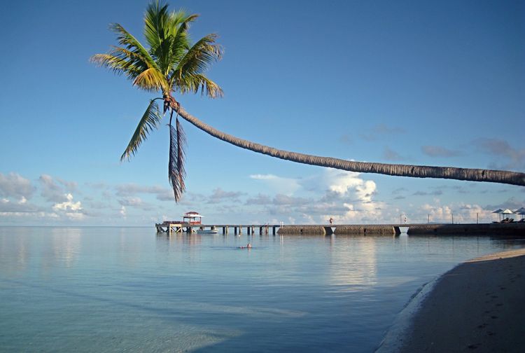 Apa Itu Kenampakan Alam Indonesia dan Jenis-jenisnya? Kelas 5 SD Tema 1 ...