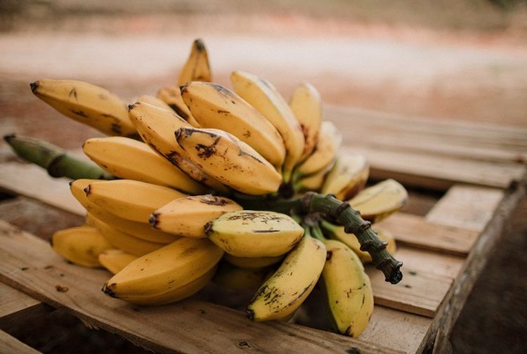 Lagu Ampar Ampar Pisang Asal Lirik Dan Pesan Yang Disampaikan Kids