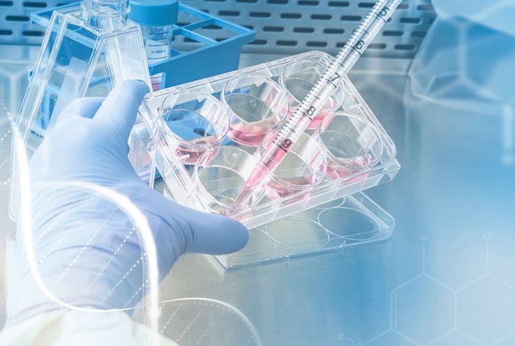 9 Jenis Enzim dalam Tubuh Manusia dan Komponen Penyusunnya - Halaman 3 ...