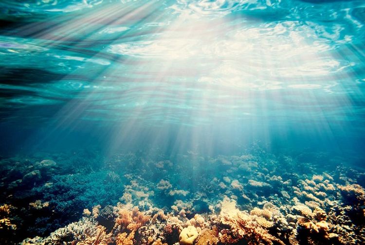 Bagaimana Terbentuknya Fenomena Sungai di Bawah Laut? Ini Penjelasannya ... Bagaimana Terbentuknya Fenomena Sungai di Bawah Laut? Ini Penjelasannya ...