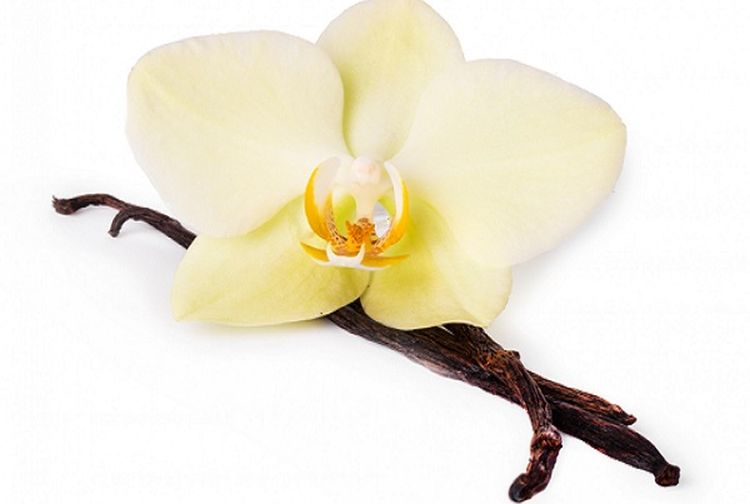 Sering Digunakan untuk Membuat Kue, Ini 6 Manfaat Vanili yang Jarang ...