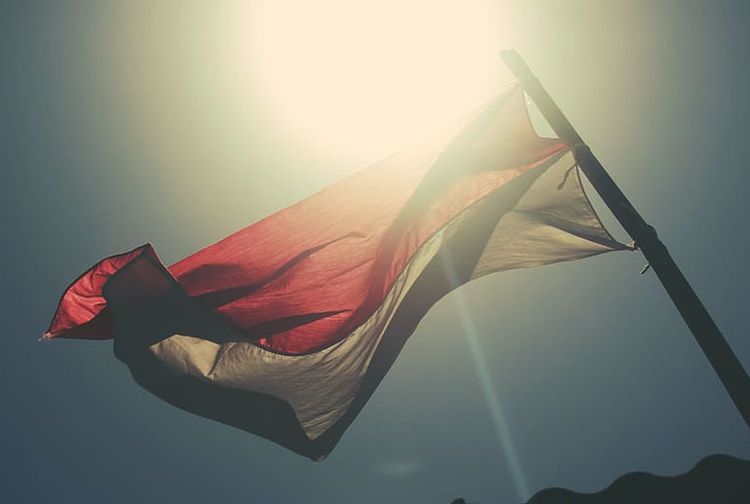Bagaimana Proses Pengakuan Kedaulatan Indonesia oleh Belanda? - Kids