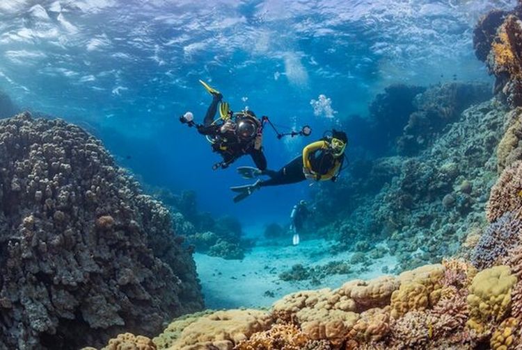6 Teknik Dasar Scuba Diving, Olahraga Ekstrem yang Perlu Pelatihan ...