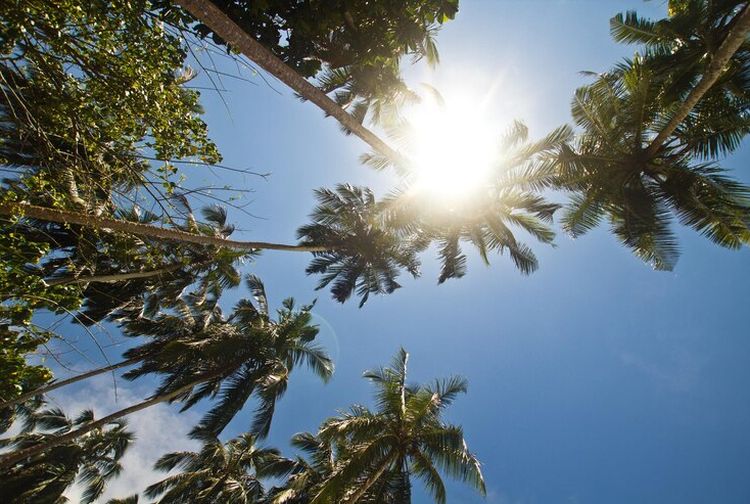Apa yang Membuat Sinar Matahari Terasa Lebih Panas di Siang Hari? # ...