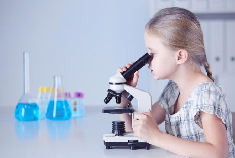 Bagian-Bagian Mikroskop Cahaya, Materi IPA Kelas 8 SMP Bab 1 - Kids