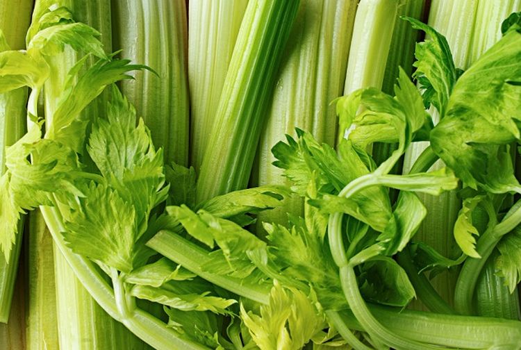 Baik Diminum saat Pagi atau Malam Hari, Ini 6 Manfaat Minum Jus Daun ...