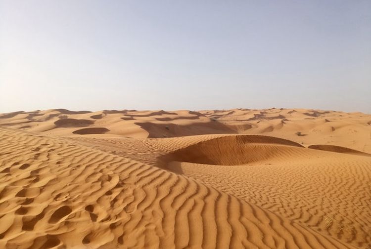 4 Proses Pembentukan Gurun serta Karakteristiknya, Seperti Apa? - Semua ...