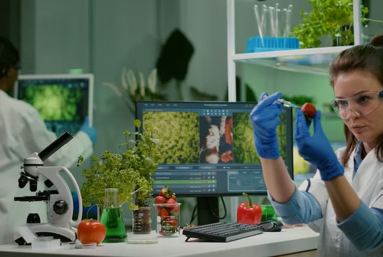 Teknologi Pangan: Pengertian, Manfaat dan Contoh-Contohnya - Kids