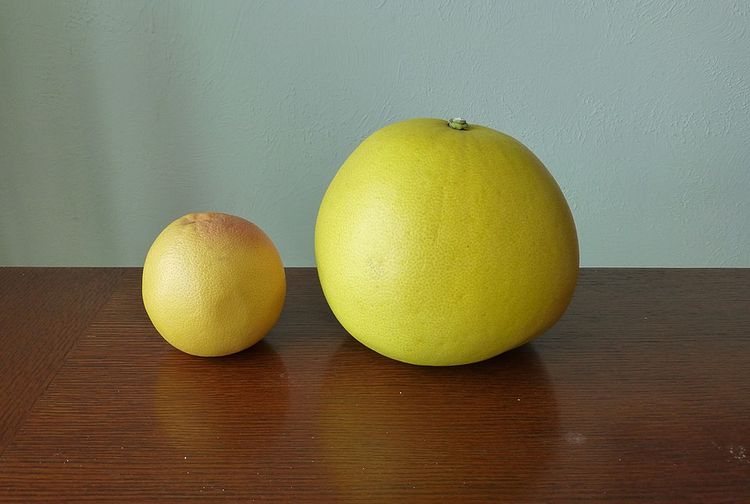 10 Fakta Ilmiah Jeruk Bali, Buah yang Kulitnya Sering Dijadikan Mainan ...