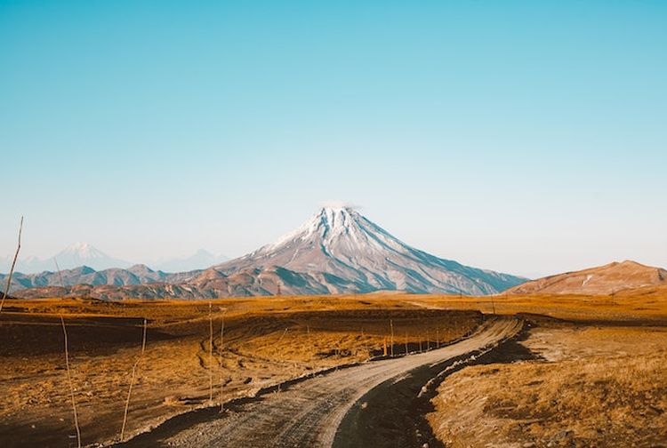 5 Peran Bioma Stepa bagi Kehidupan Makhluk Hidup di Bumi - Kids