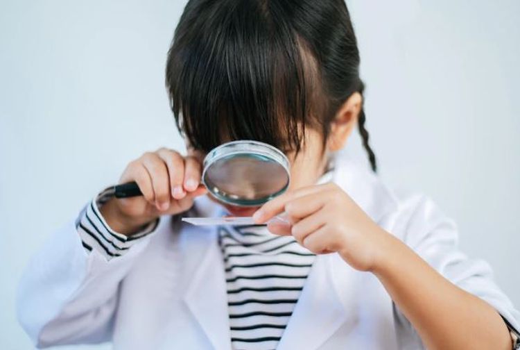 Hubungan Multiseluler dan Spesialisasi Sel Serta Fungsinya, IPA Kelas ...