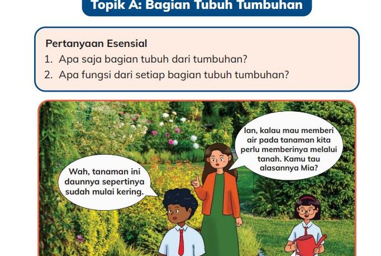 Mengenal 12 Bagian Dari Tumbuhan Dan Fungsinya Ipas Kelas 4 Sd