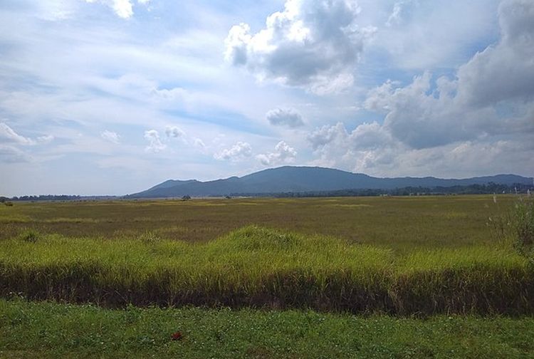 15 Fakta Menarik Taman Nasional Rawa Aopa Watumohai yang Memiliki Pulau ...