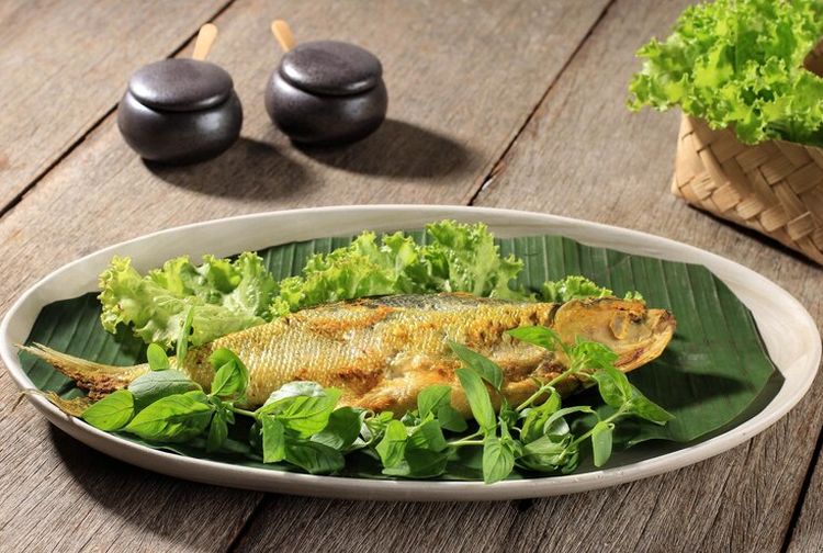 6 Jenis Ikan yang Baik Dikonsumsi untuk Meningkatkan Kecerdasan Anak - Kids