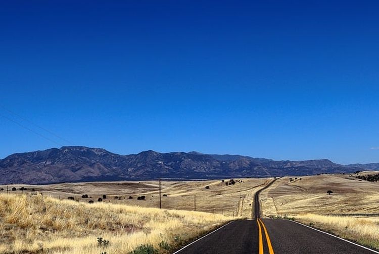 7 Jenis Bioma yang Ada di Muka Bumi, Materi Geografi Kelas X SMA - Kids
