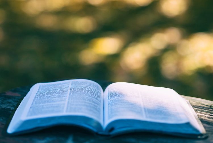 Mengenal Majas Sinisme: Pengertian, Ciri-Ciri, hingga Contohnya - Kids