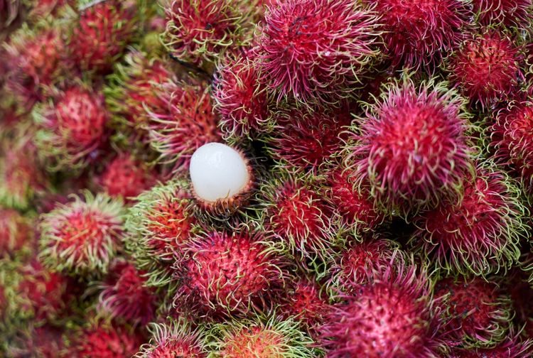 Sejumlah Manfaat Buah Rambutan yang Perlu Diketahui, Salah Satunya Kaya ...