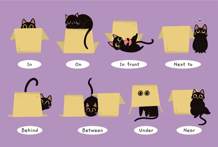 8 Contoh Preposition of Movement dalam Bahasa Inggris dan Artinya - Kids