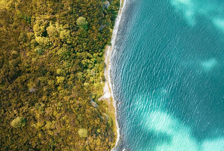 3 Dampak Dangkalan Sunda dan Dangkalan Sahul bagi Indonesia, Apa Saja ...
