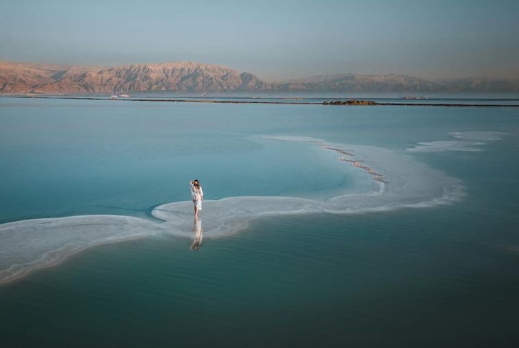 Seperti Apa Bentuk Kehidupan yang Ditemukan di Perairan Laut Mati? - Kids