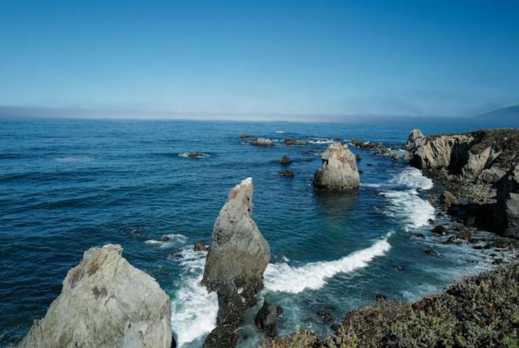 5 Dampak Abrasi Pantai bagi Lingkungan dan Ekosistem, Apa Saja? - Kids