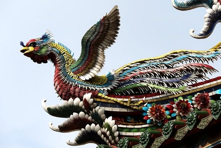 13 Fakta Menarik Burung Phoenix, Burung Legendaris Simbol Keabadian - Kids