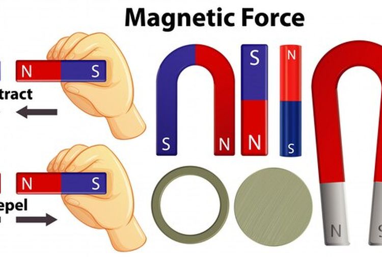 Benda Bermagnet: Mengenal Sifat, Bentuk, dan Cara Pembuatannya - Kids