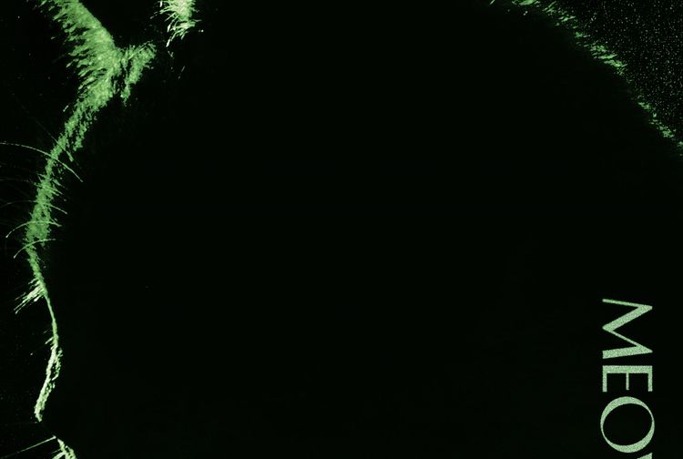 MEOVV Comeback Perdana Setelah Debut dengan 'TOXIC' dan 'BODY', Seperti ...